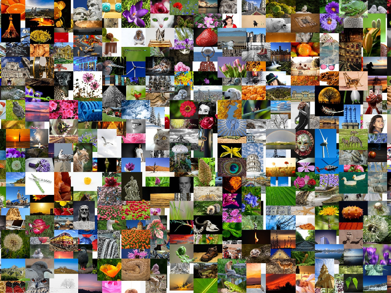 Immagini Gratis, foto e sfondi: ecco dove scaricare. - Marco Brughi